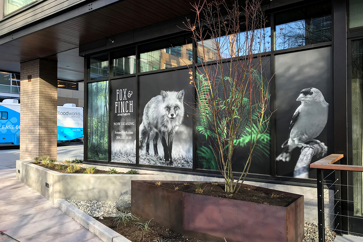 Graphics NW - Window Graphics